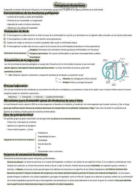 Patogénesis bacteriana | uDocz