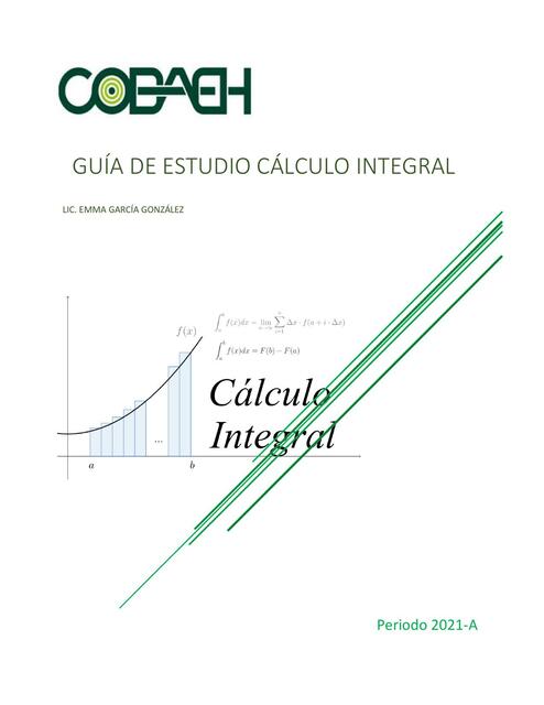 CALCULO INTEGRAL | Magetzi | uDocz