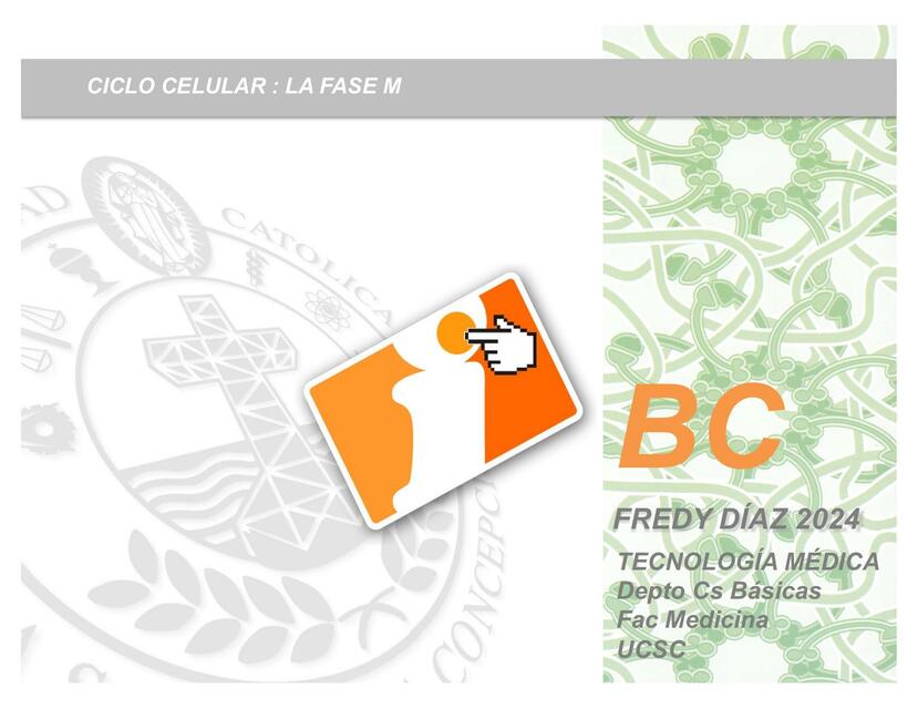 Flashcards de CICLO CELULAR FASE M | Por Nicolás | uDocz