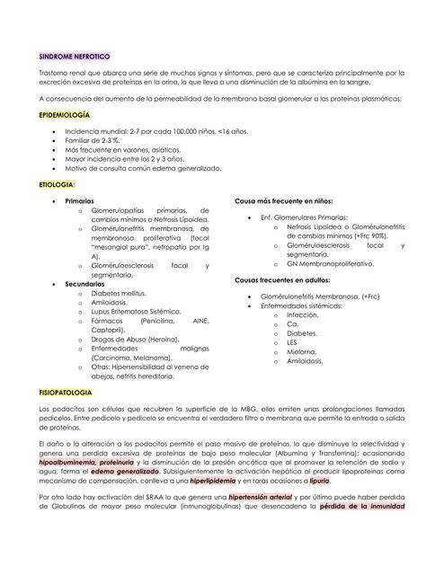 Sx Nefrotico y Nefritico | Maria Aguiar | uDocz