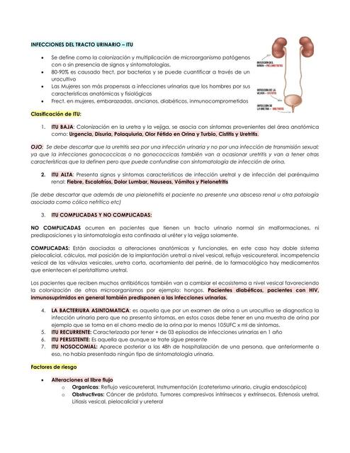Resúmenes de infeccion vias urinarias | Descarga apuntes de infeccion ... Resúmenes de infeccion vias urinarias | Descarga apuntes de infeccion ...