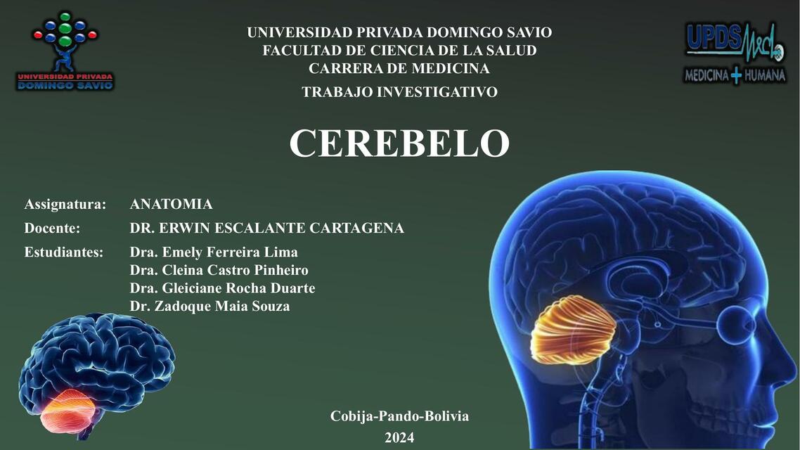 CEREBELO | Vinicius Azevedo | uDocz
