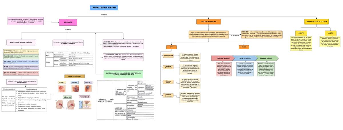 Organizador Visual N 6 | RUBY CABRERA | uDocz
