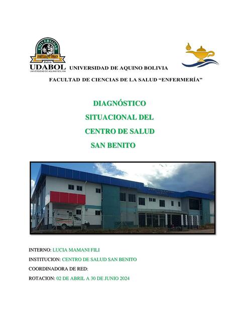 Diagnostico situacional y Plan de trabajo | Lucia Mamani | uDocz