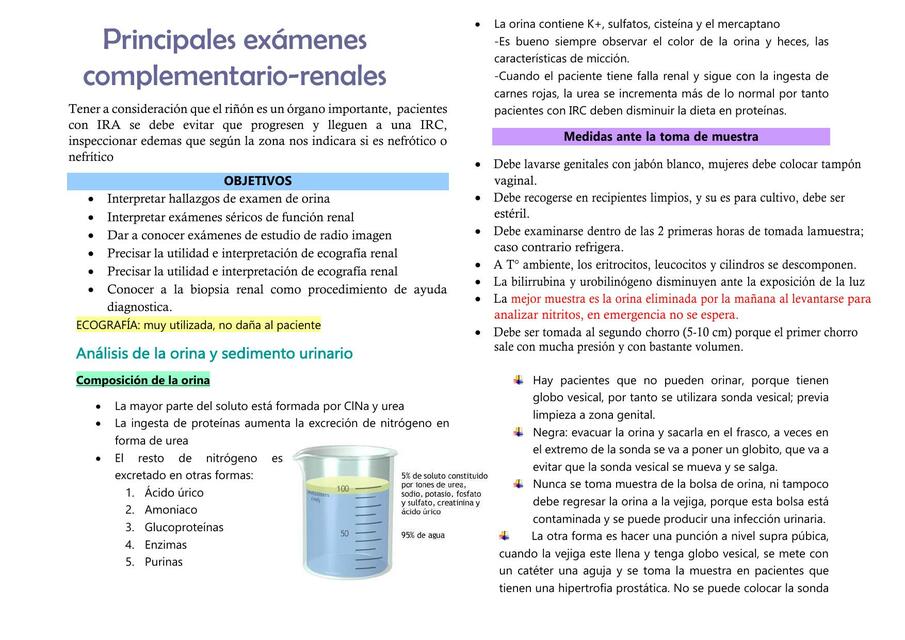 Principales exámenes complementarios - Renal | Futuro Doctor | uDocz