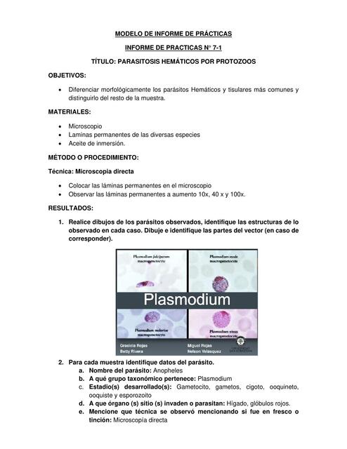 GUÍA PARASITOSIS HEMÁTICOS POR PROTOZOOS | Futuro Doctor | uDocz GUÍA PARASITOSIS HEMÁTICOS POR PROTOZOOS | Futuro Doctor | uDocz