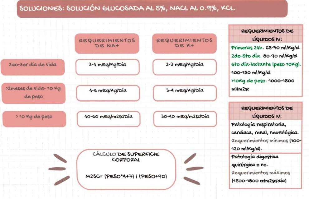 Soluciones en pediatria | Mitzi Ramirez | uDocz