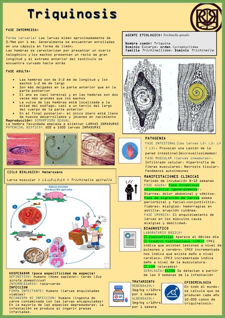 TRIQUINOSIS - TRICHINELLA SPIRALIS | Rodrigo Colque Apaza | uDocz