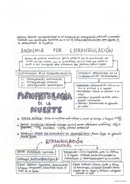 6 ANOXEMIAS POR ESTRANGULACION | Momito | uDocz