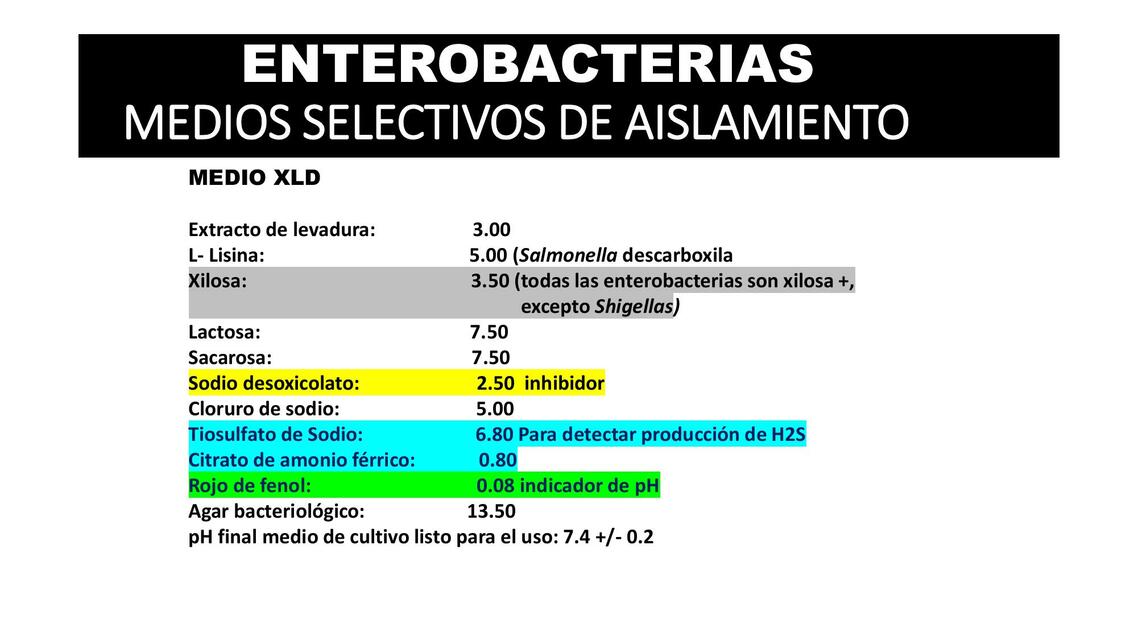 AISLAMIENTO ENTEROBACTERIAS | D trabajos | uDocz