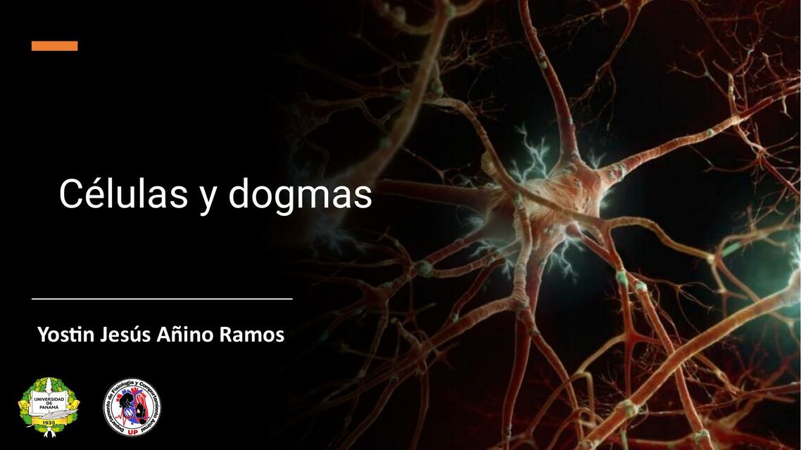 CLASE FINAL | veronica matos | uDocz