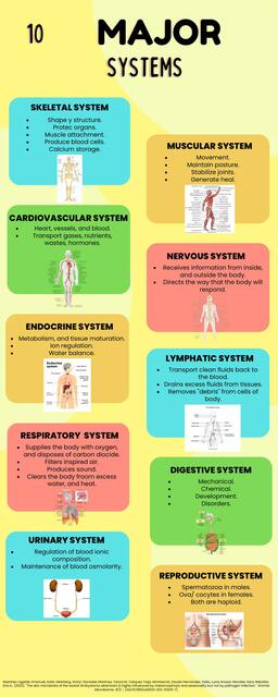 MAJOR SYSTEMS | Alondra Paola Cruz Perez | uDocz