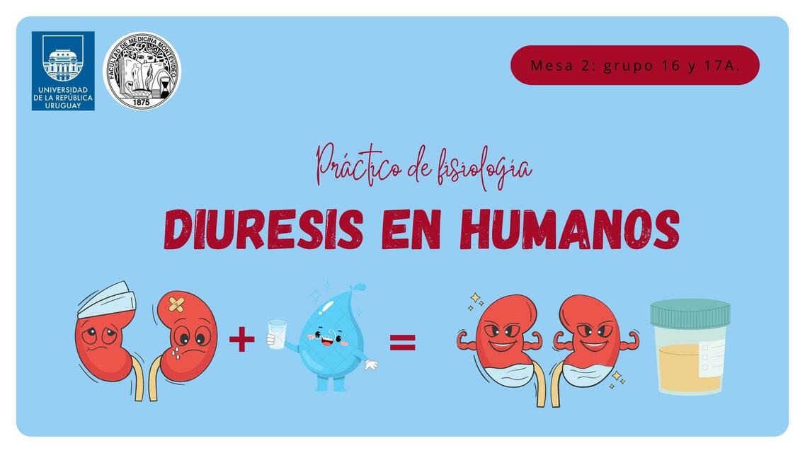 Práctico diuresis | Melina Tiscornia | uDocz