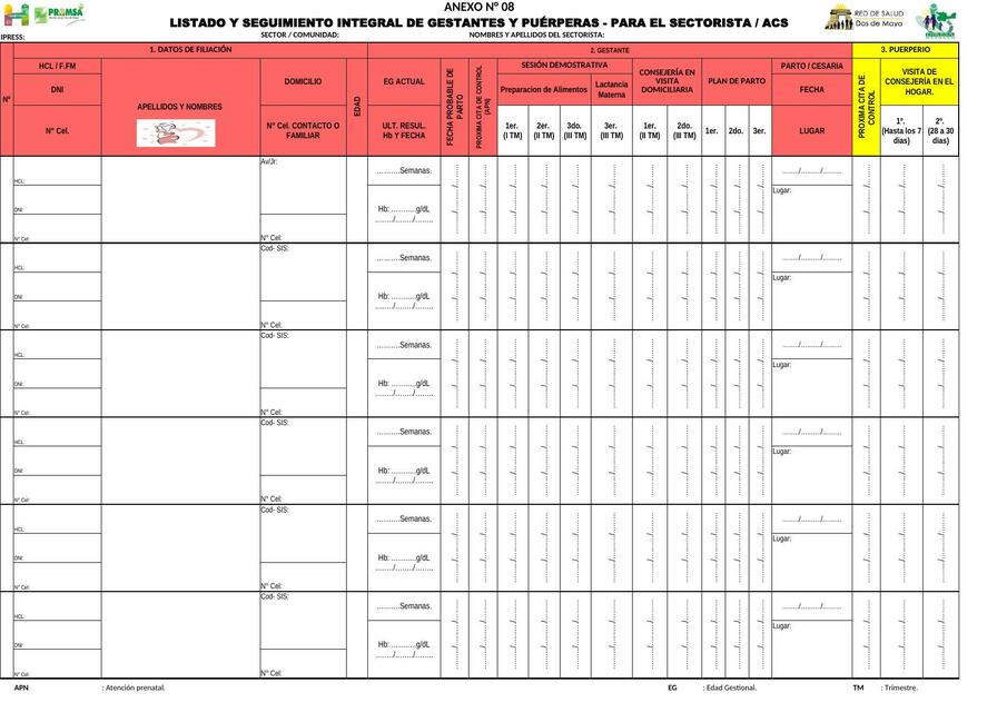 Seguimiento Gestante | Magaly.jt12@gmail.com Jesus | uDocz