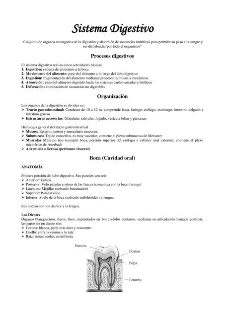 Módulo III | josue | uDocz
