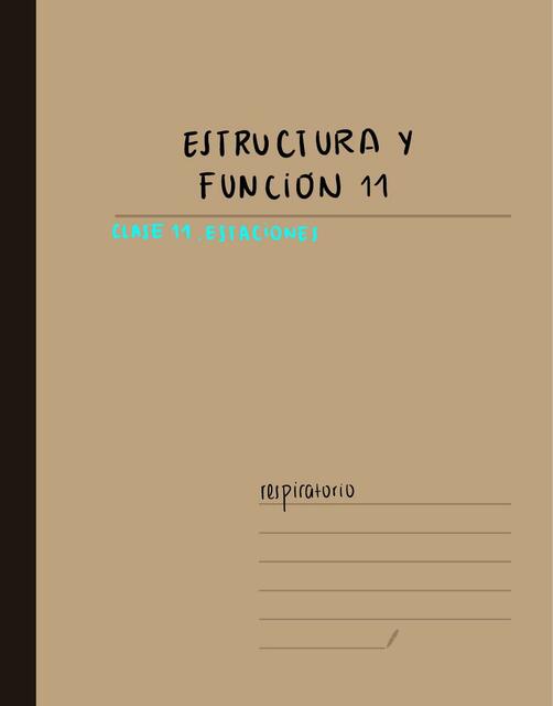 estructura y funcion | uDocz