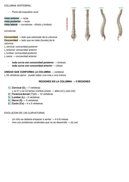 columna vertebral | Triana Alonso Leigh | uDocz