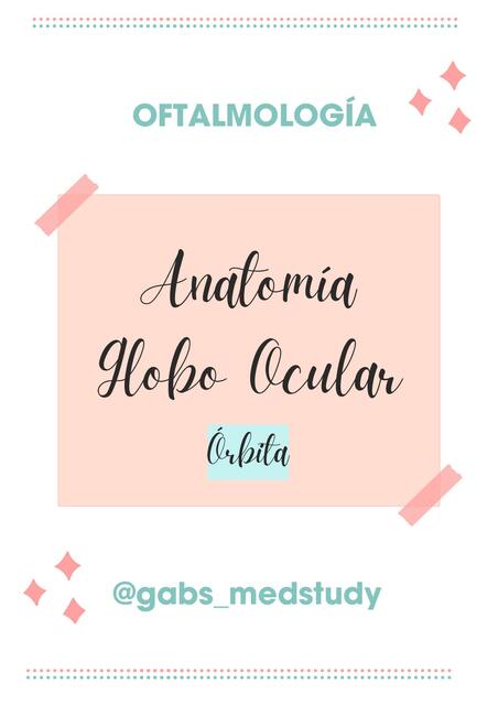 ÓRBITA Anatomía de Ojo | gabs_medstudy | uDocz