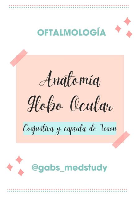 CONJUNTIVA Y CÁPSULA DE TENON Anatomía de Ojo | gabs_medstudy | uDocz