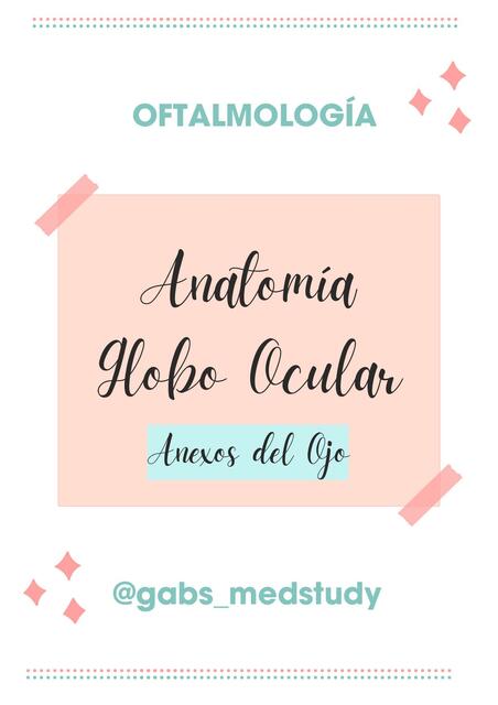 Anexos del ojo | gabs_medstudy | uDocz