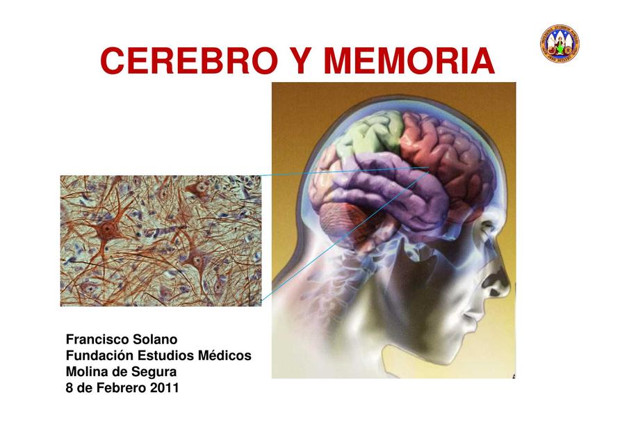 PPT Cerebro y memoria | Tracto Tecnoespinal | Memoria | uDocz