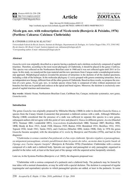 S1 G5 Condor Lujan Klautau Nicola new genus | Alejandro Principe ...