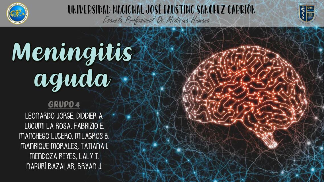 Meningitis aguda | Apuntes Medicos | uDocz