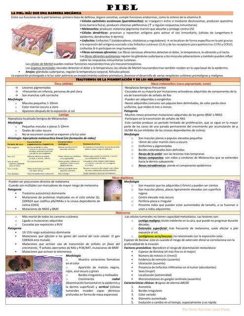 PIEL RESUMEN JANEL | Janel Paola Flores Ramírez | uDocz