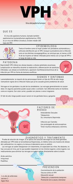 Infografia sobre el VPH | Maria Gabriela Sanchez Gonzalez | uDocz