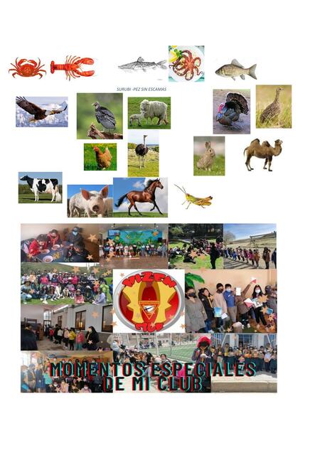 ANIMALES PUROS E IMPUROS | Emma | uDocz