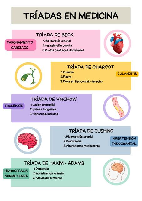 Enfermería | uDocz