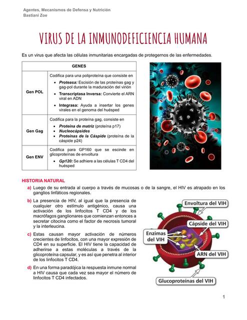 VIH ets | Zoe Bastiani | uDocz
