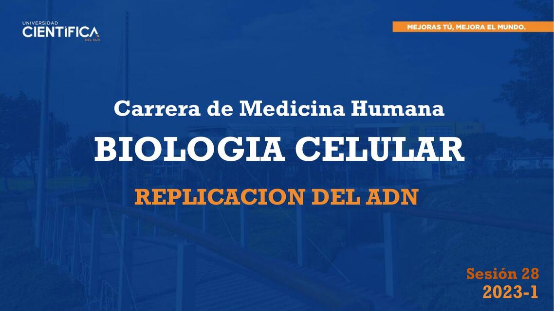 Biología Celular Replicación del ADN 10 16 | Fernando | uDocz