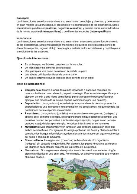 INTERACCIONES ENTRE LOS SERES VIVOS Y SU ENTORNO | Liza Stuudio | uDocz