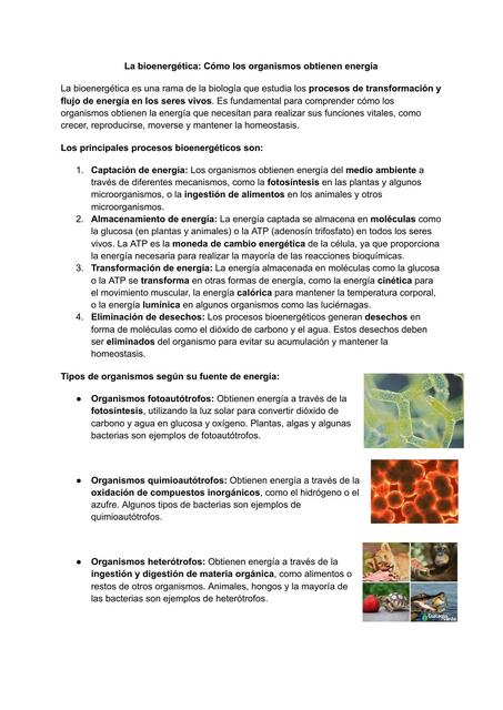 Liza Stuudio | uDocz