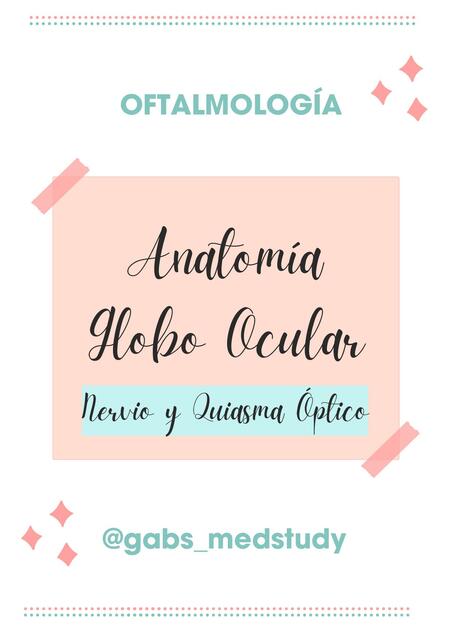 Nervio y Quiasma Óptico | gabs_medstudy | uDocz