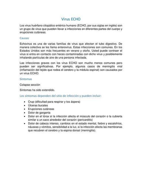Virus ECHO | Dana Ochoa | uDocz