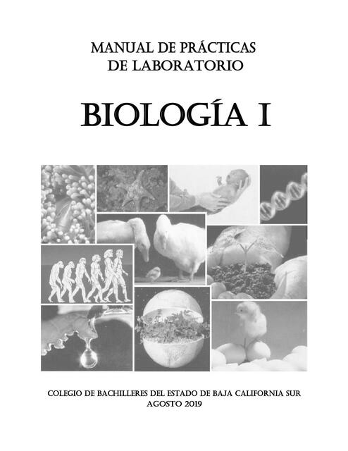 manual de practicas de laboratorio biologia I | Liza Stuudio | uDocz