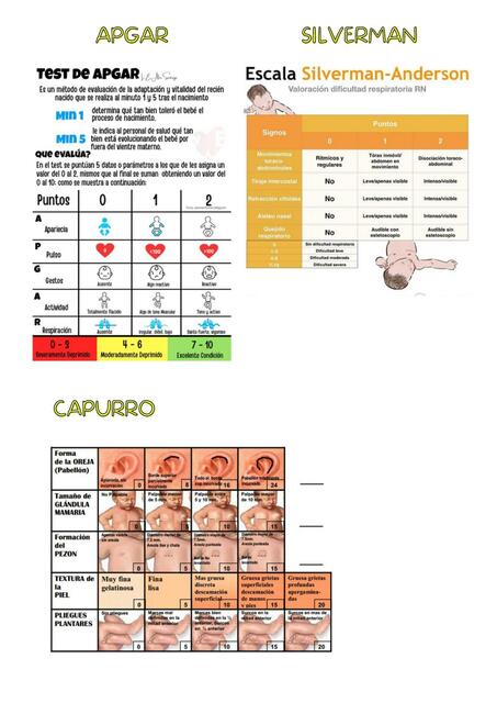 APGAR CAPURRO SILVERMAN | SnoopyMed | uDocz