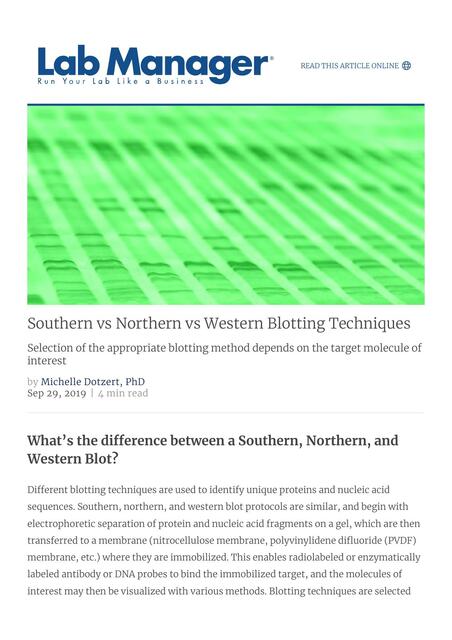 Flashcards de Southern vs Northern vs Western Blotting Technique | Por ...