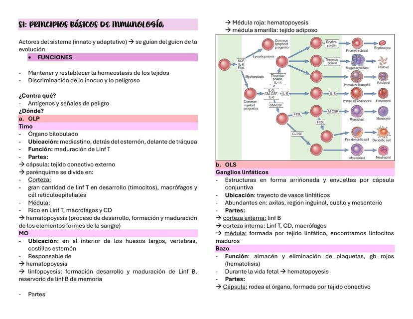 Inmuno S1 - S6 | Marialejandra Chumacero Carrillo | uDocz