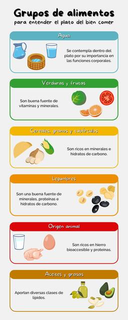 Grupos de alimentos para entender el plato del bien comer ...