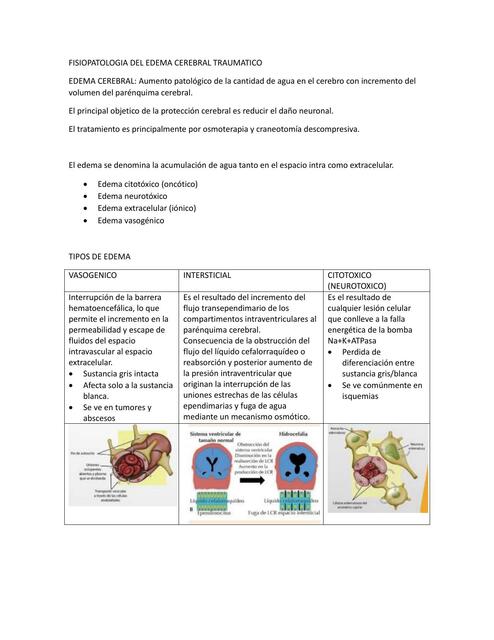 FISIOPATOLOGIA DEL EDEMA CEREBRAL TRAUMATICO | uDocz