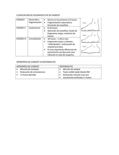 CLASIFICACIÓN DE EICHENHOLTZ PIE DE CHARCOT | uDocz