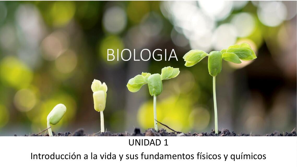 UNIDAD 1 1 Introduccion a la vida en la tierra 05 | Ariana | uDocz