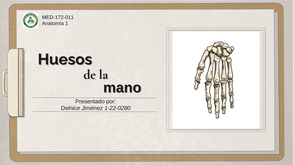 Flashcards de Anatomia 1 Huesos de la mano | Por Delnice Jiménez | uDocz