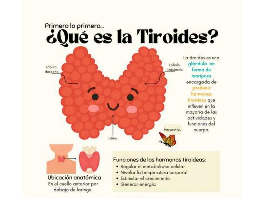 Tiroides | fraii | uDocz