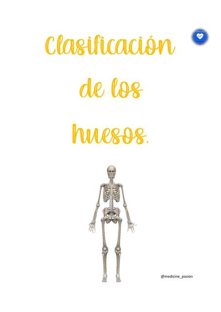 Clasificación de los huesos | Salud | Anatomía | uDocz Clasificación de los huesos | Salud | Anatomía | uDocz