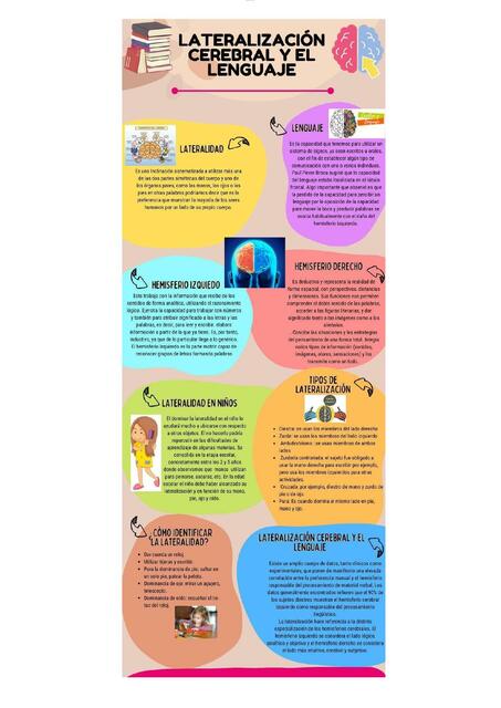 lateralizacion cerebral y el lenguaje infografia | Maily Takayama ...