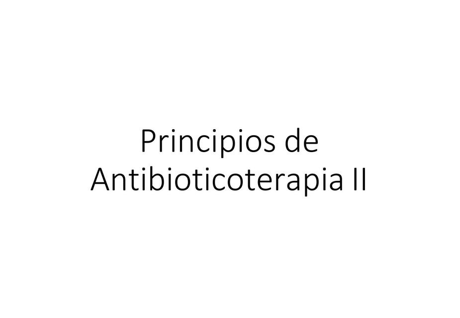 13. Principios de Antibioticoterapia II | LiquidOH愛 | uDocz